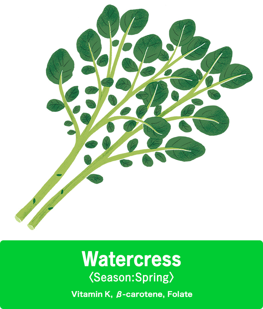 Watercress | Vegetable guide