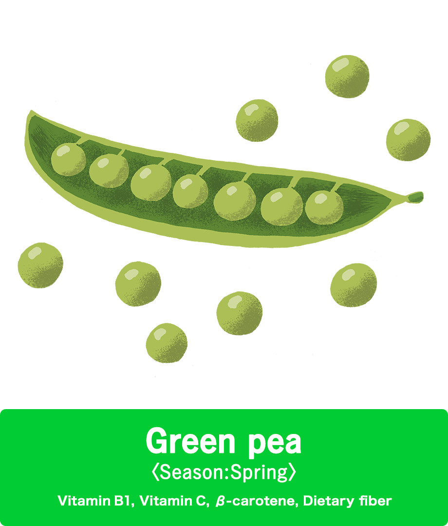 Green pea | Vegetable guide
