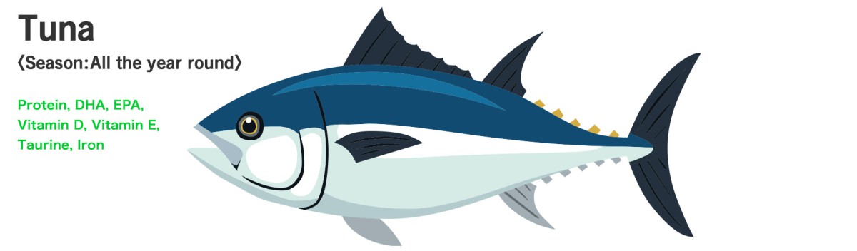 Tuna | Fish guide
